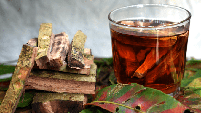 Terminalia arjuna benefits - Your Gateway to Plants Knowledge