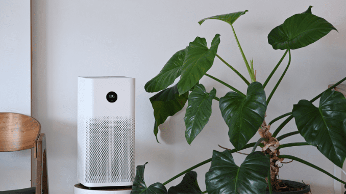 Health hazards of indoor air pollution - Your Gateway to Plants Knowledge